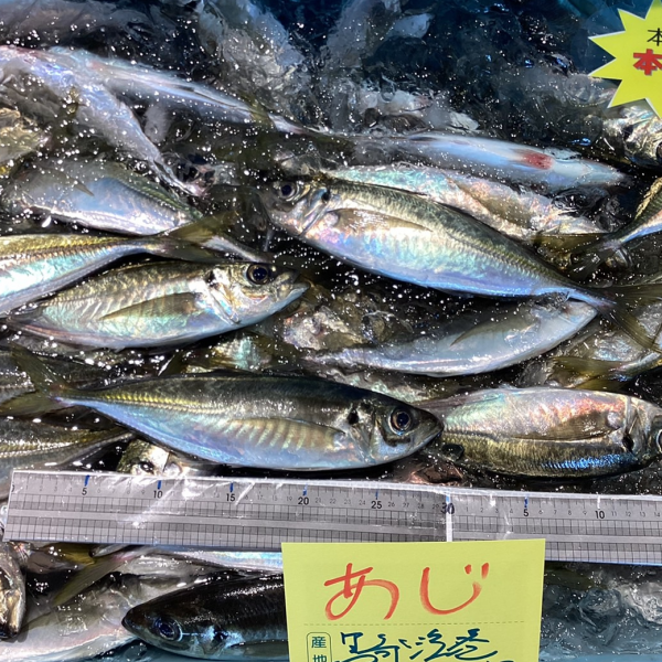 鮮魚セット 約2kg～4kg | 目安人数2～4人。家族・パーティーにオススメです。1日目は基本的に刺身、2日目以降は焼き・煮付等お楽しみ頂けま