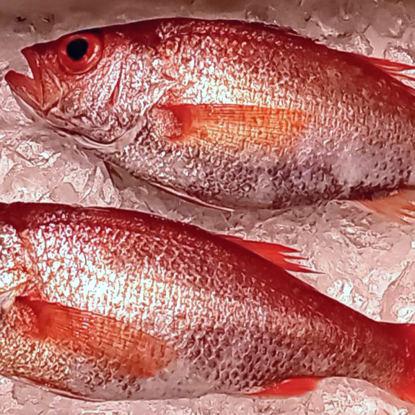 ぬたうなぎ×5本（冷凍） | さばいて乾燥させたぬたうなぎ（5本）を真空冷凍で発送させて頂きます。