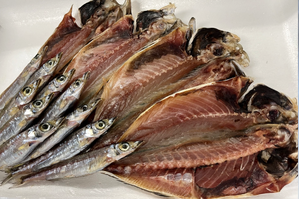 鮮魚セット 約1.5kg～3kg | 目安人数2～3人。夫婦・家族にオススメです。1日目は基本的に刺身、2日目以降は焼き・煮付などお楽しみ頂けます