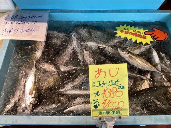 鮮魚セット 約1.5kg～3kg | 目安人数2～3人。夫婦・家族にオススメです。1日目は基本的に刺身、2日目以降は焼き・煮付などお楽しみ頂けます