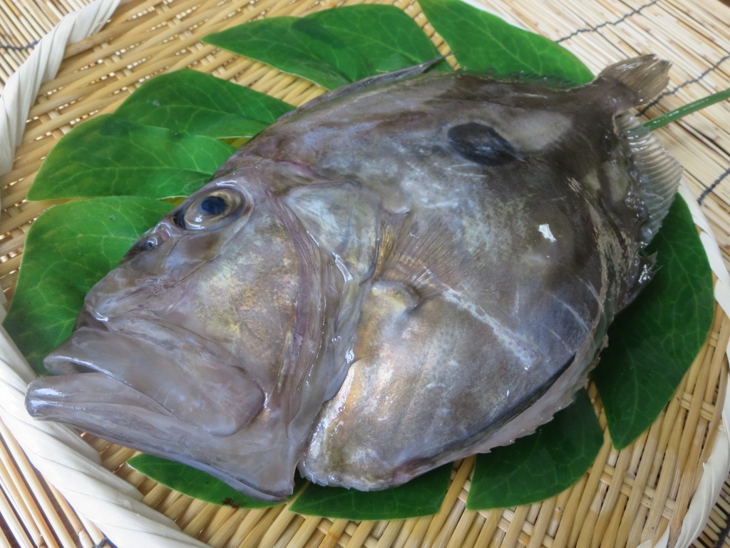 マトウダイを通販でお取り寄せ【値段とレシピ6選】